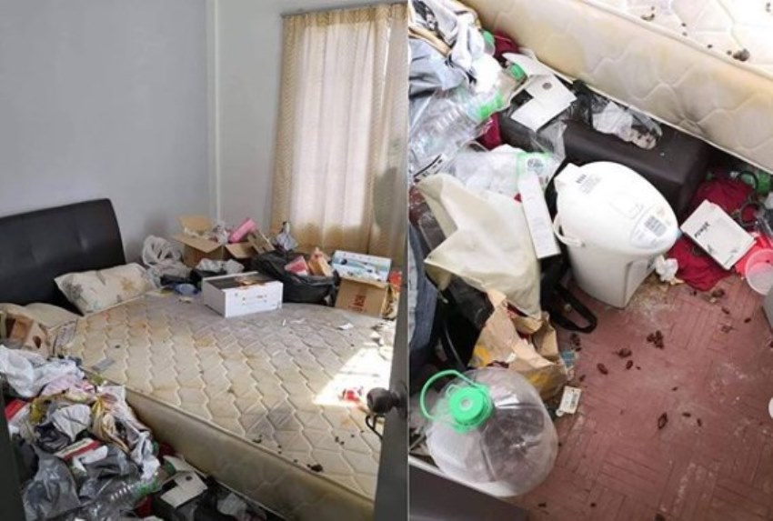 Curiga Muncul Banyak Kecoa, Wanita ini Periksa Kamar Teman dan Terkejut ... Curiga Muncul Banyak Kecoa, Wanita ini Periksa Kamar Teman dan Terkejut ...