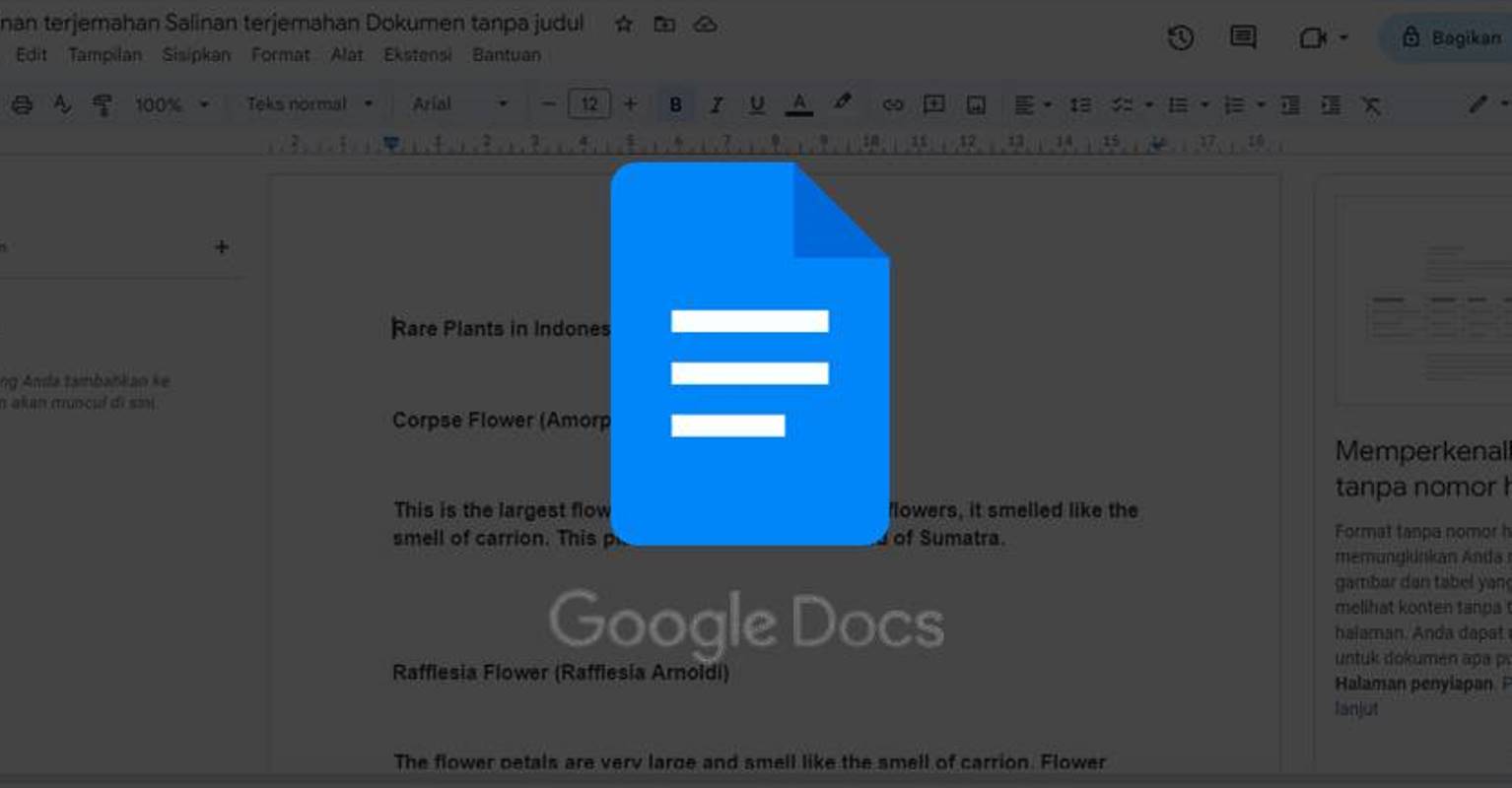 Cara Translate di Google Docs dengan Cepat dan Akurat - Rancah Post