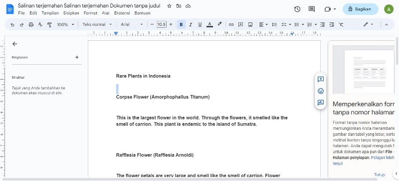 Cara Translate di Google Docs dengan Cepat dan Akurat - Rancah Post